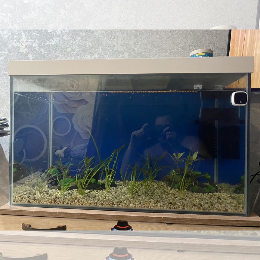 Аквариум под заказ