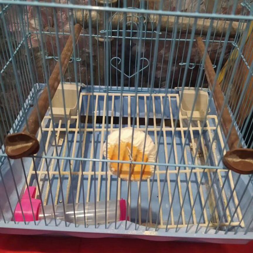 Клетка для попугая