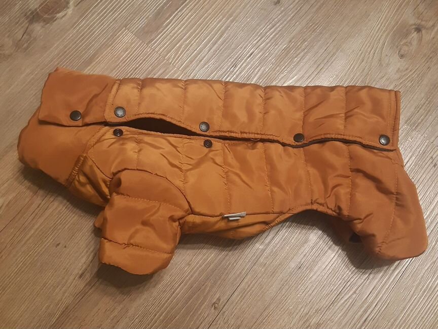 Одежда для собачки