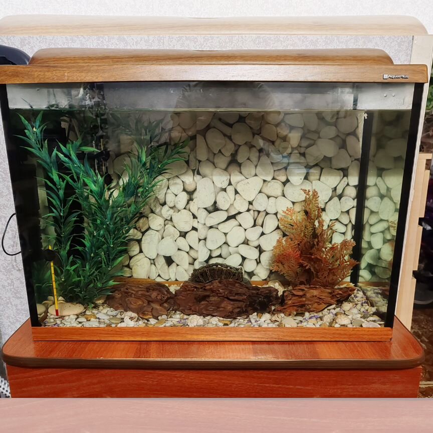 Аквариум 100 литров