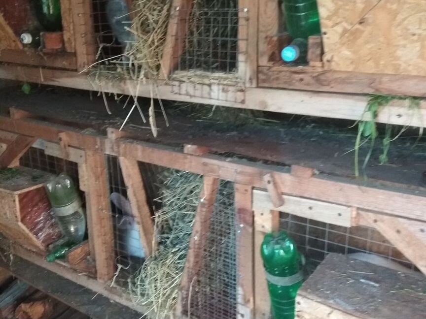 Клетки для кроликов