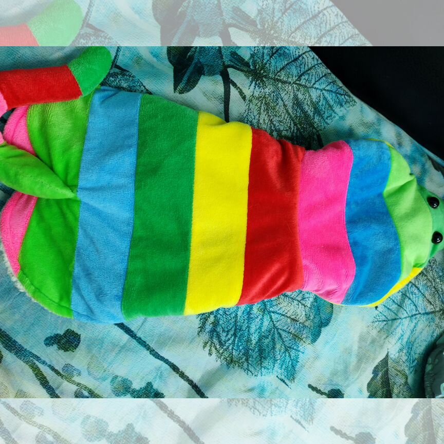 Одежда для собак мелких пород