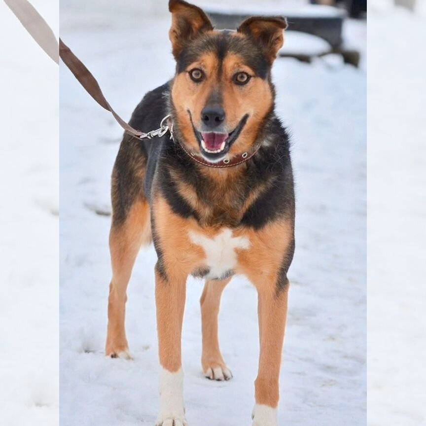 Красоточка Малышка