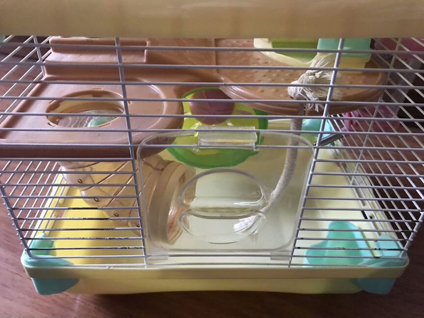 Клетка для хомяка+шар, опилки, корм