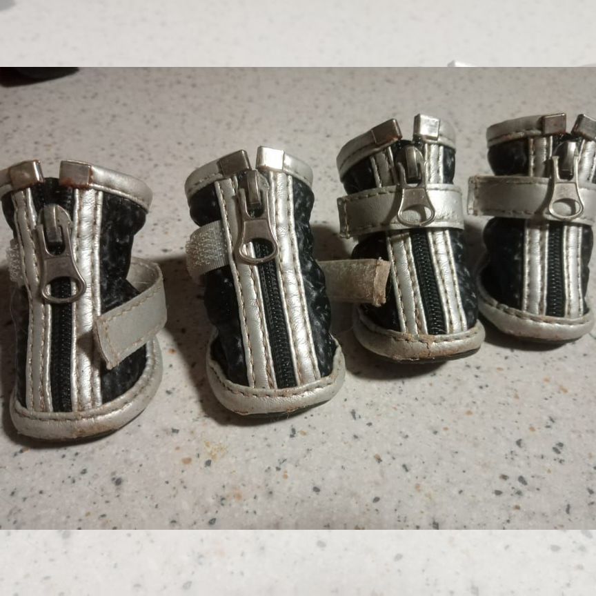 Обувь для маленьких собак зимняя