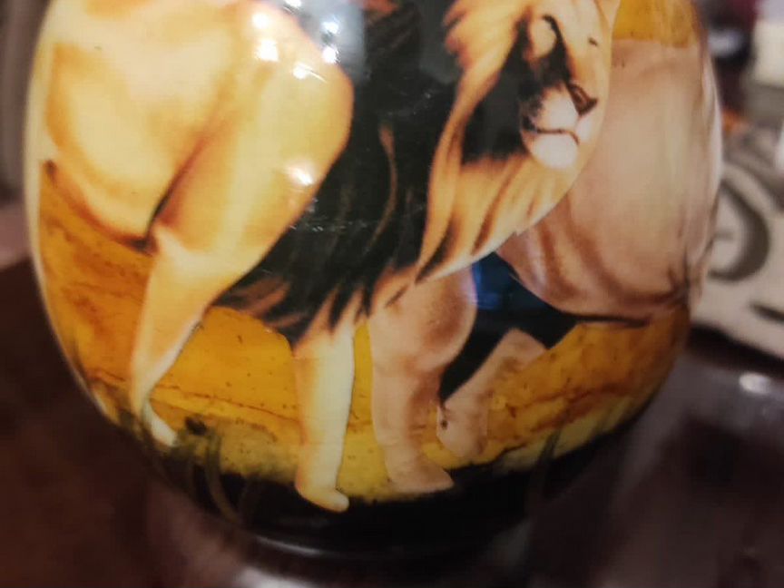 Яйцо страуса