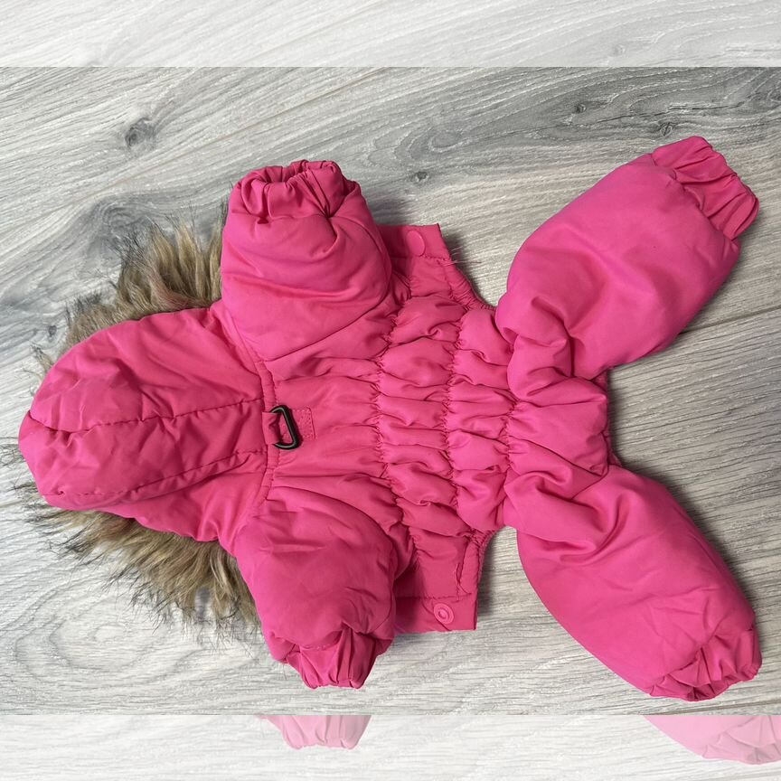 Одежда для маленьких собак