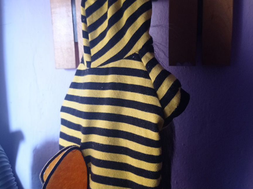 Наряд для маленькой собаки