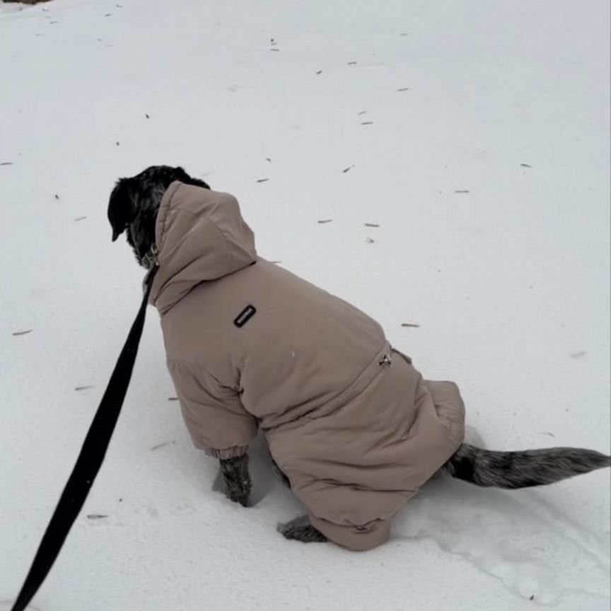 Комбинезон для собак крупных и средних пород