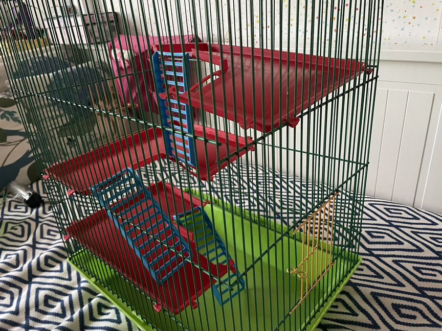 Большая клетка