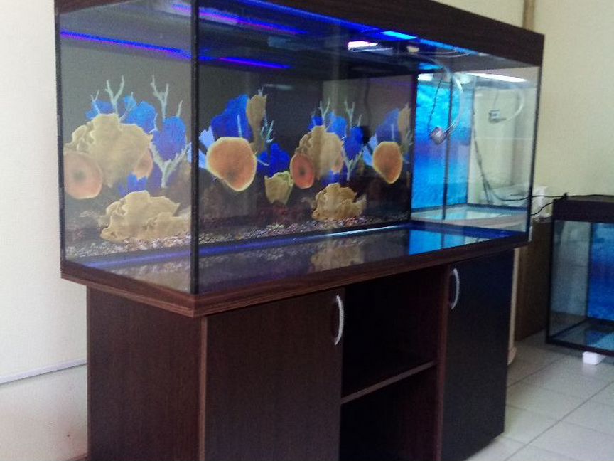 Аквариум 520л. свет, крышка, биофильтр, тумба