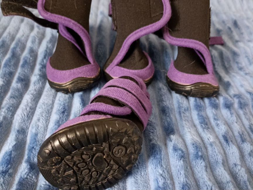 Ботинки для собак демисезонные