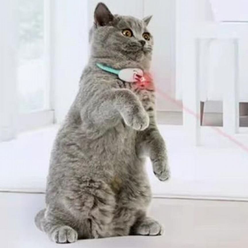 Игрушки для кошек лазер