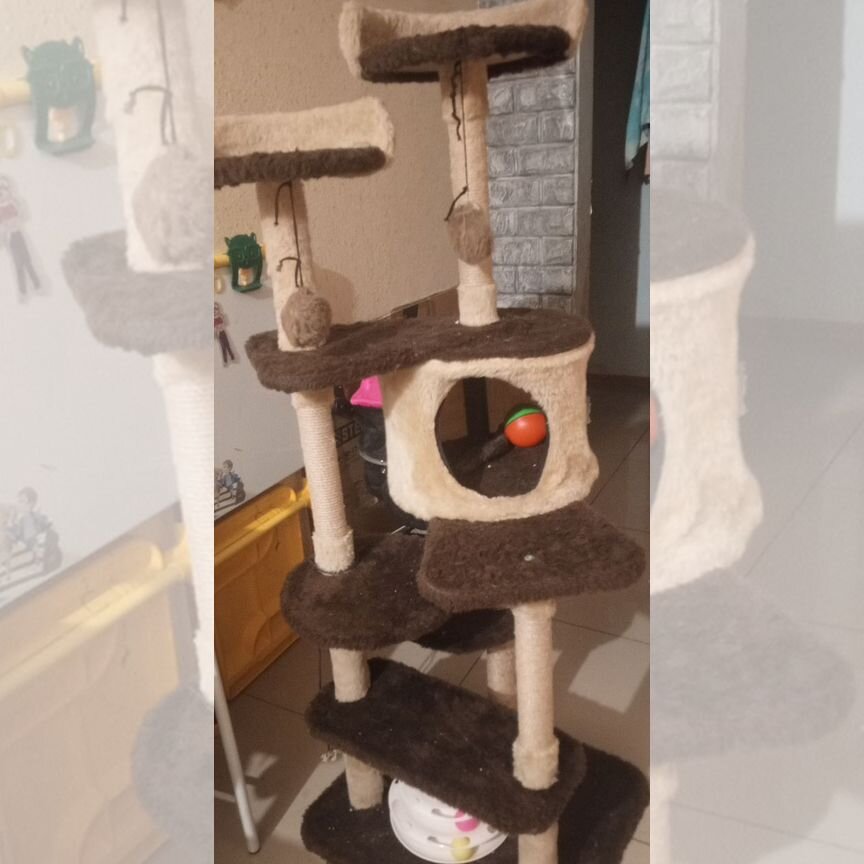 Когтеточка