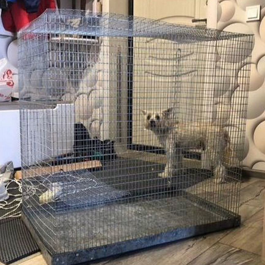 Клетка для грызунов и птиц большая