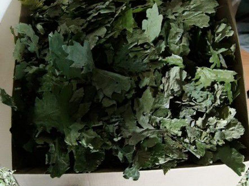 Корм для животных