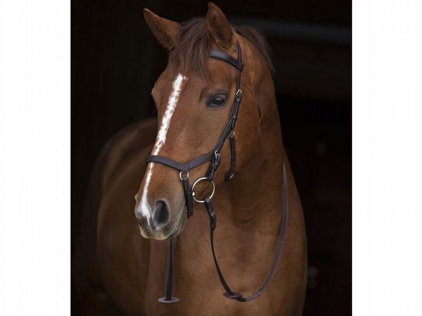 Уздечки и подперстья (мартингалы)