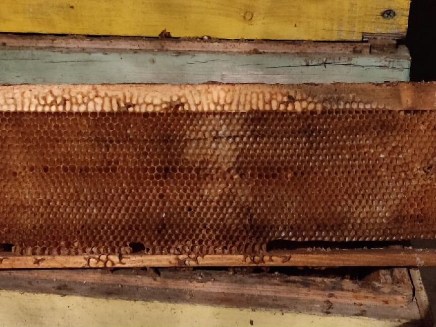 Рамки магазинные