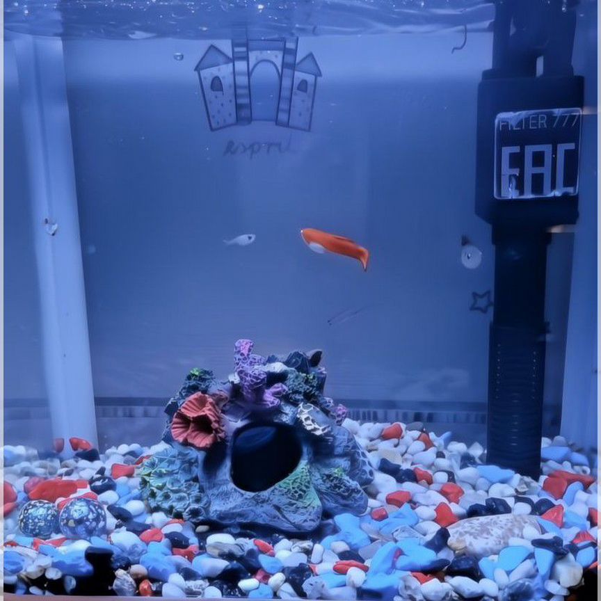 Аквариум с рыбами 9 л