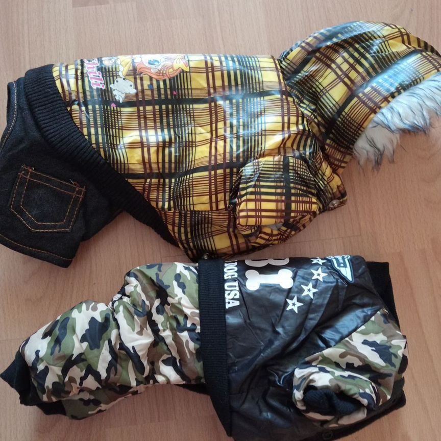 Новые комбинезоны для собаки