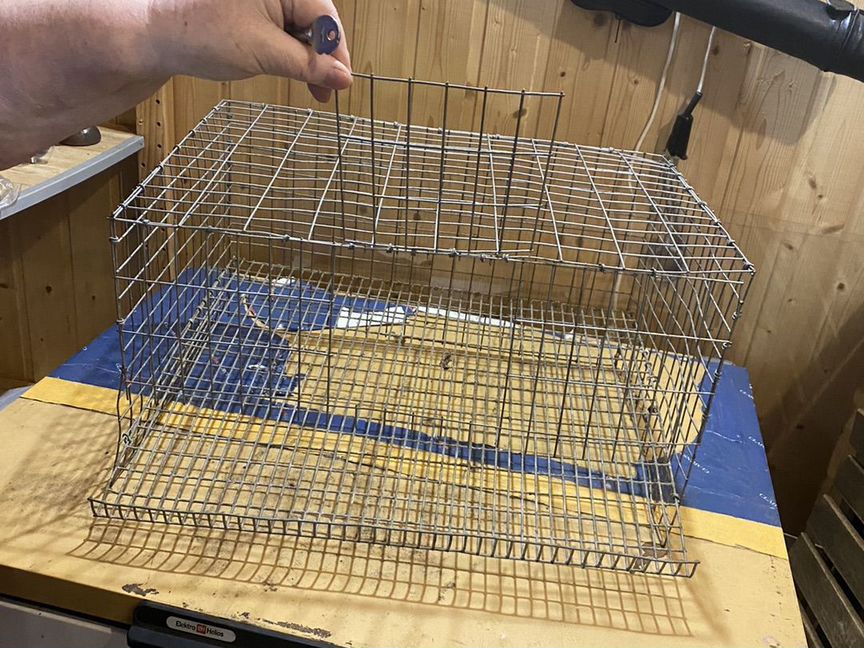 Клетки для перепелов бу