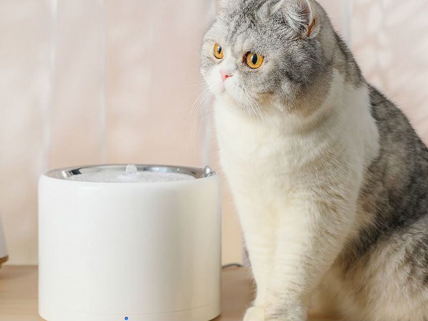 Умный фонтан для животных Petkit Eversweet Pro