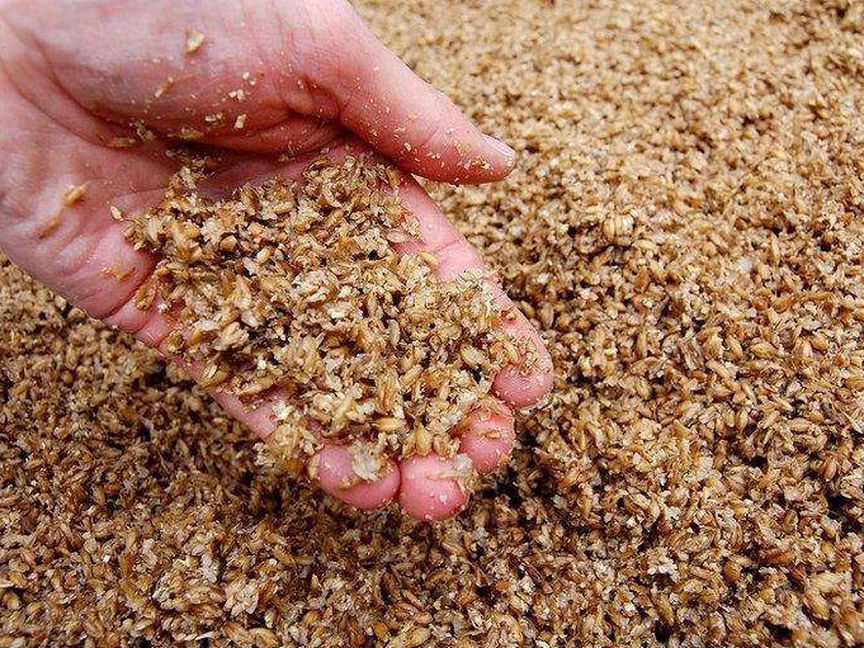 Пивная дробина, жмых