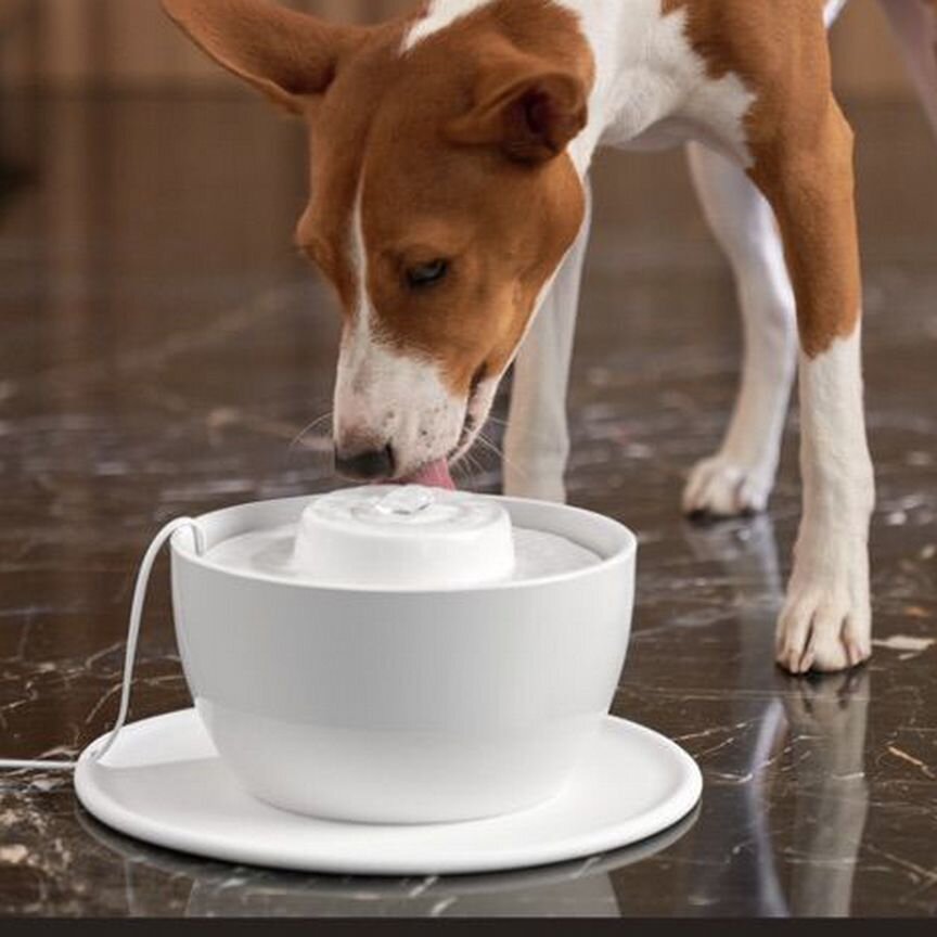 Фонтан Bork для животных