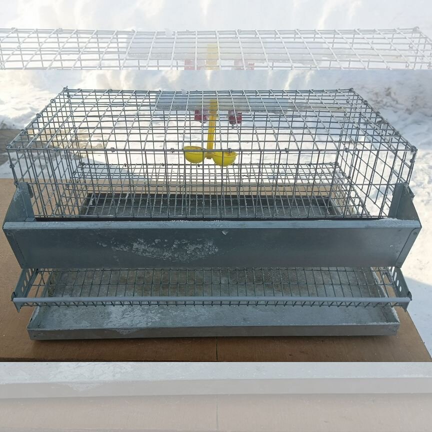 Клетка для перепелов на 15 голов бу