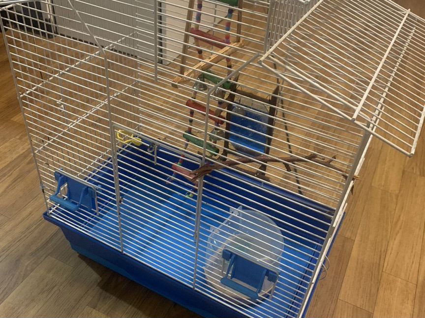 Клетка для попугая