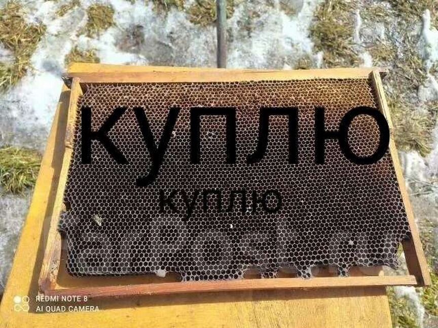 Сушь для пчёл