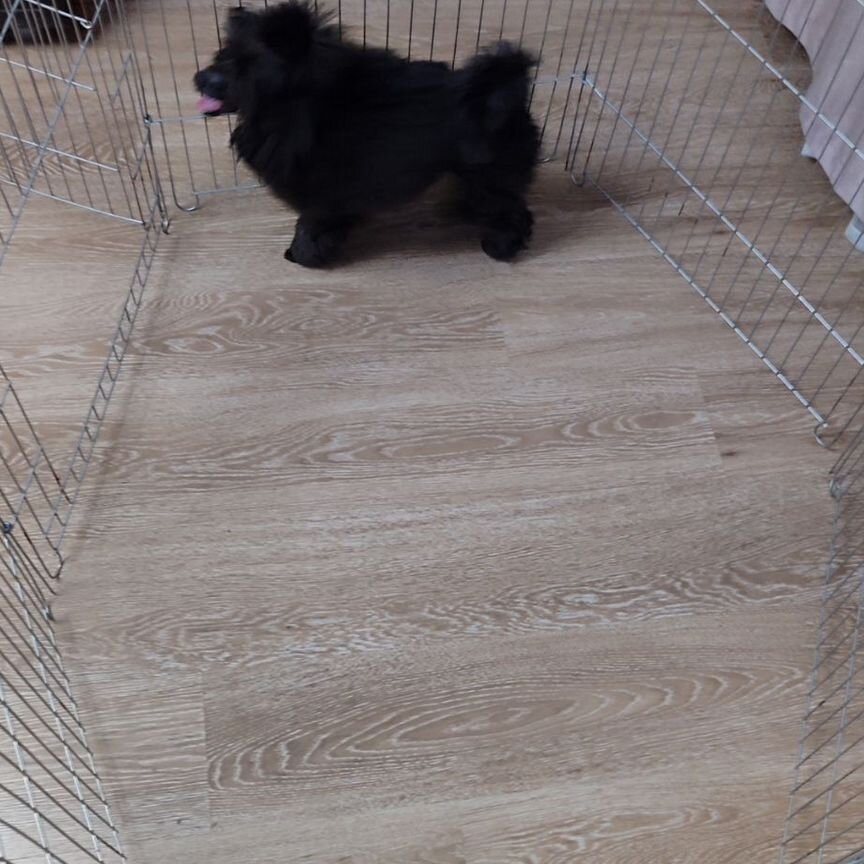 Вольер для маленьких пород собак, либо щенков