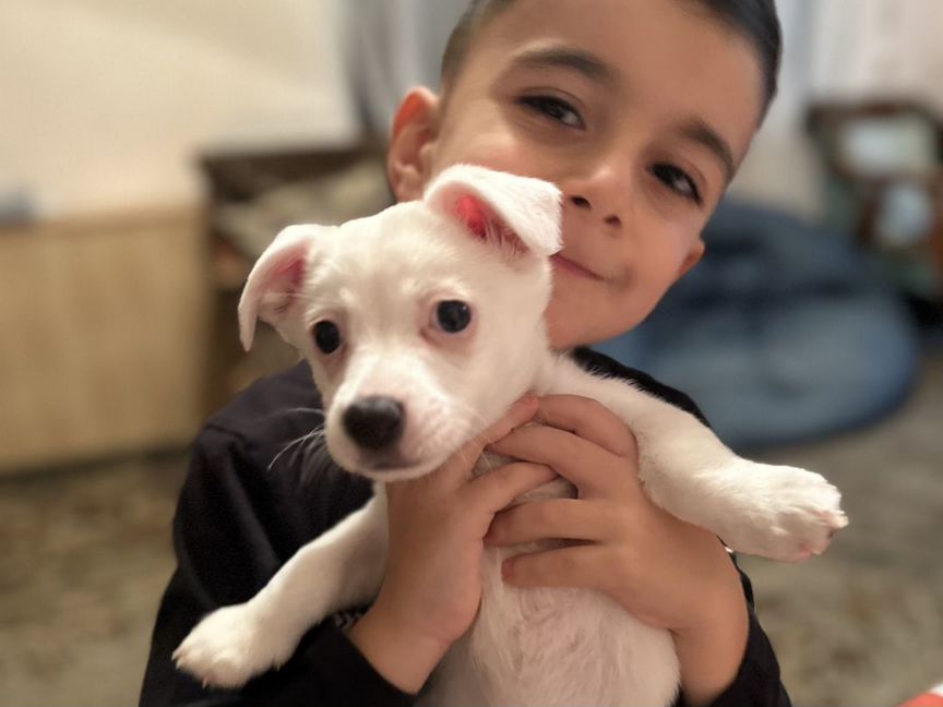 Отдадим нашу малышку в добрые ручки