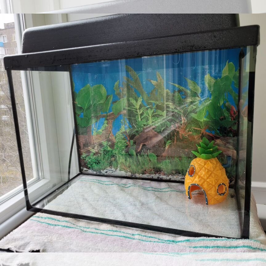 Аквариум 20 литров
