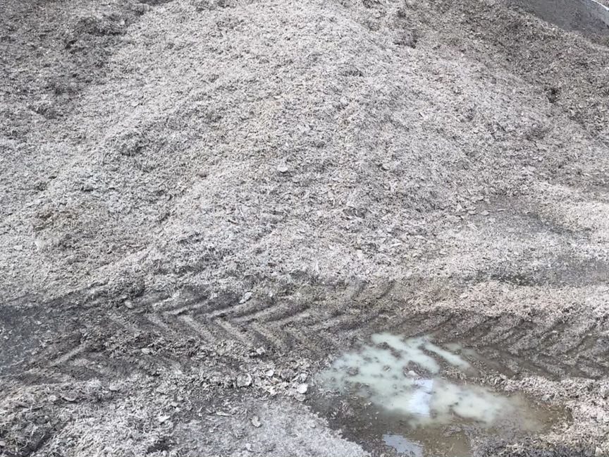 Жом свекловичный