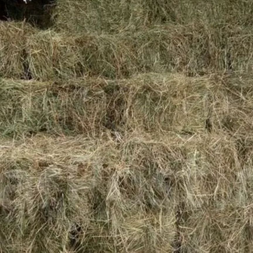 Сено в тюках