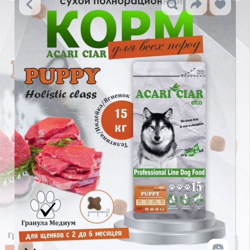 Корм для собак