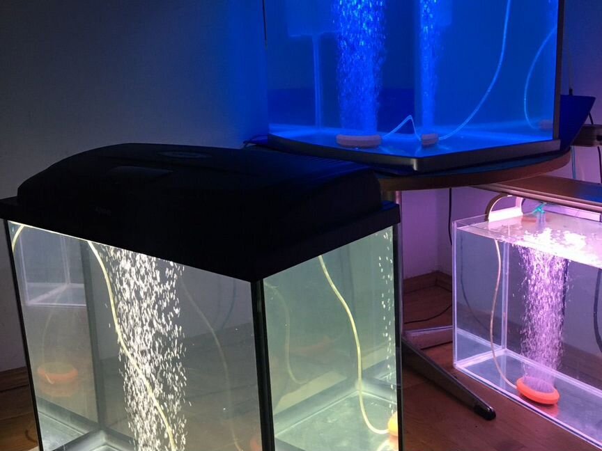 Аквариум 80 литров