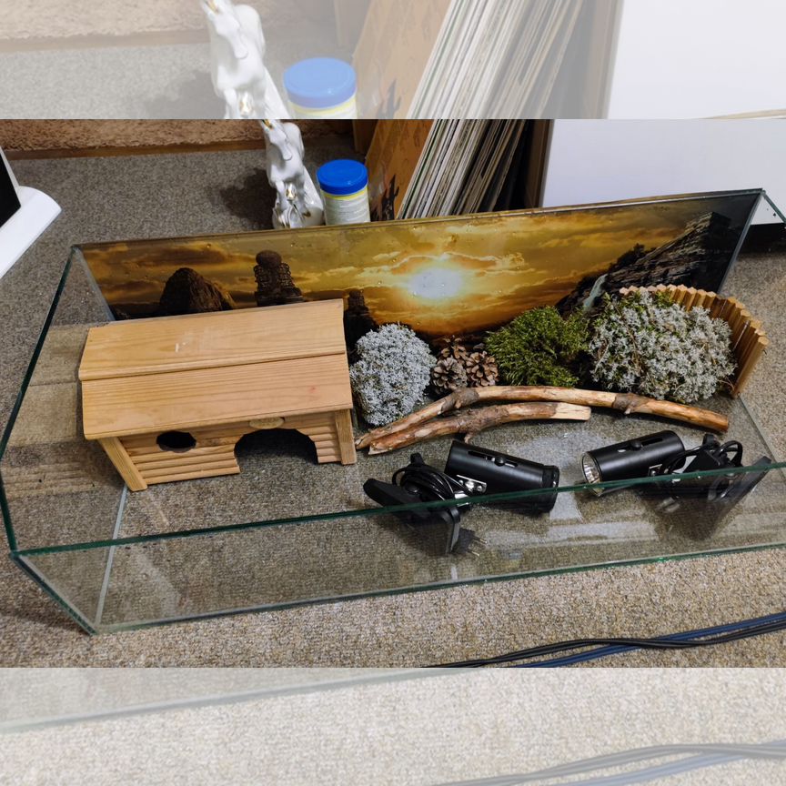 Аквариум террариум