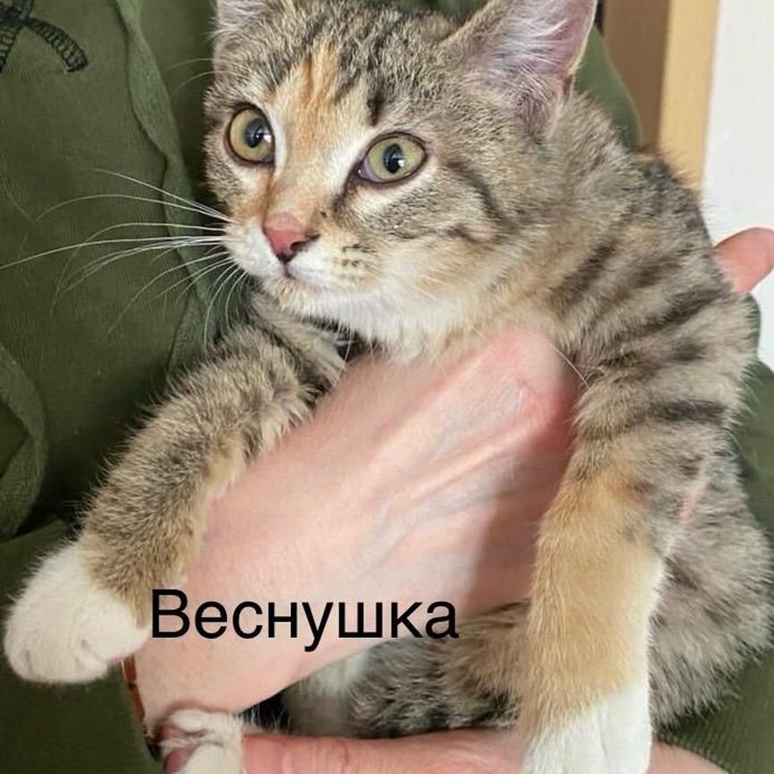 Веснушка девочка 4 месяца
