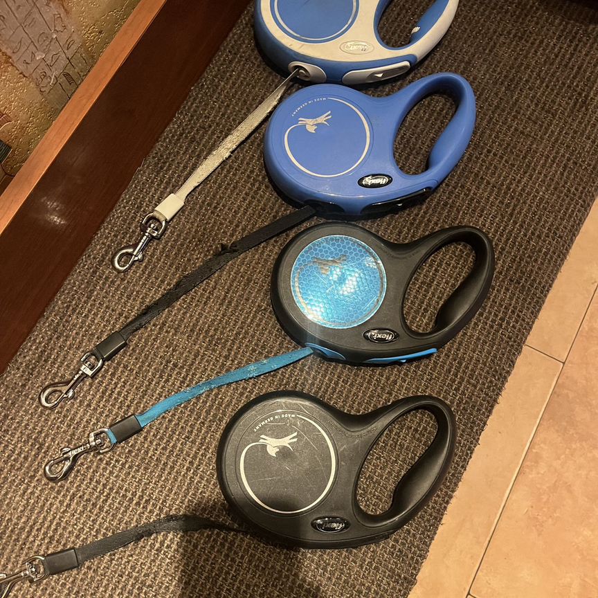 Рулетка для собак flexi 5 метров