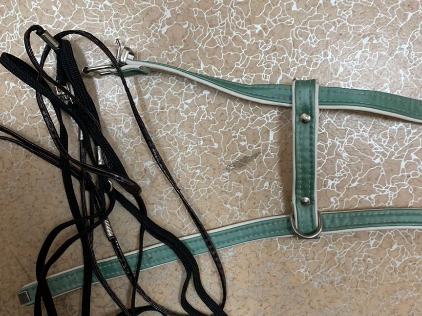 Две ринговки+шлейка