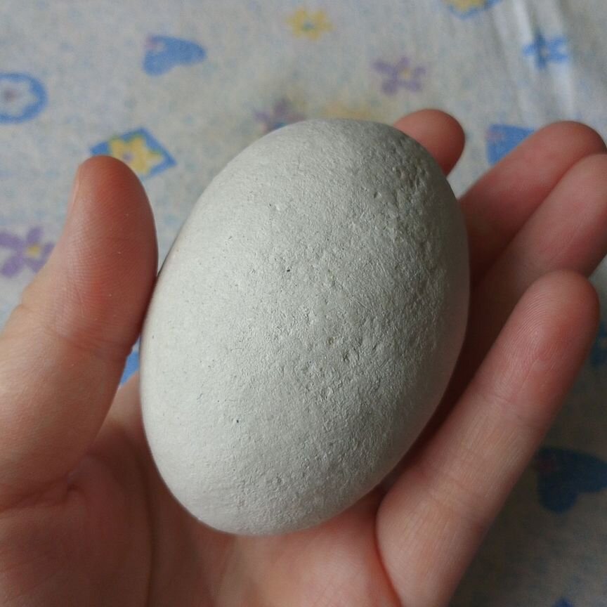 Подкладочное яйцо