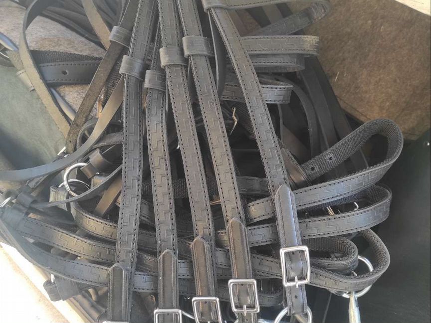 Уздечка для лошади