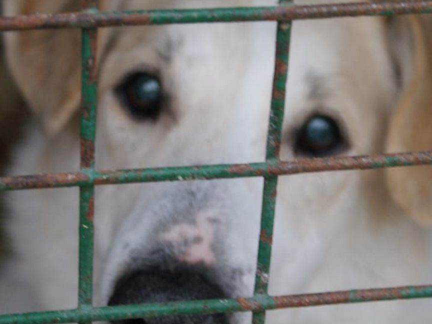 В ожидании чуда