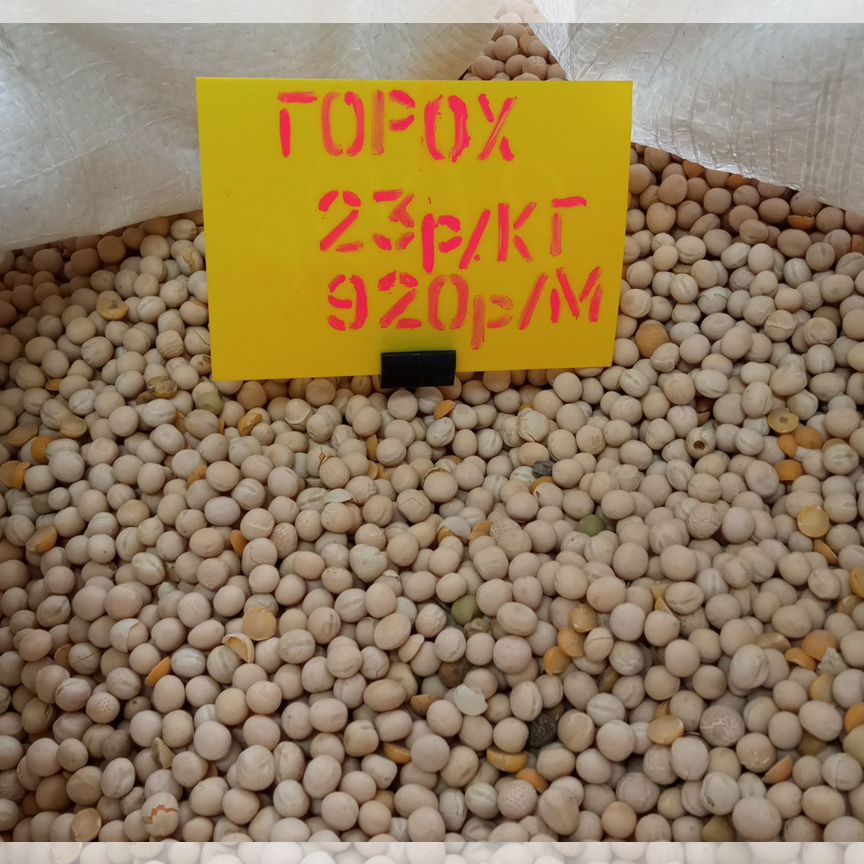 Горох кормовой