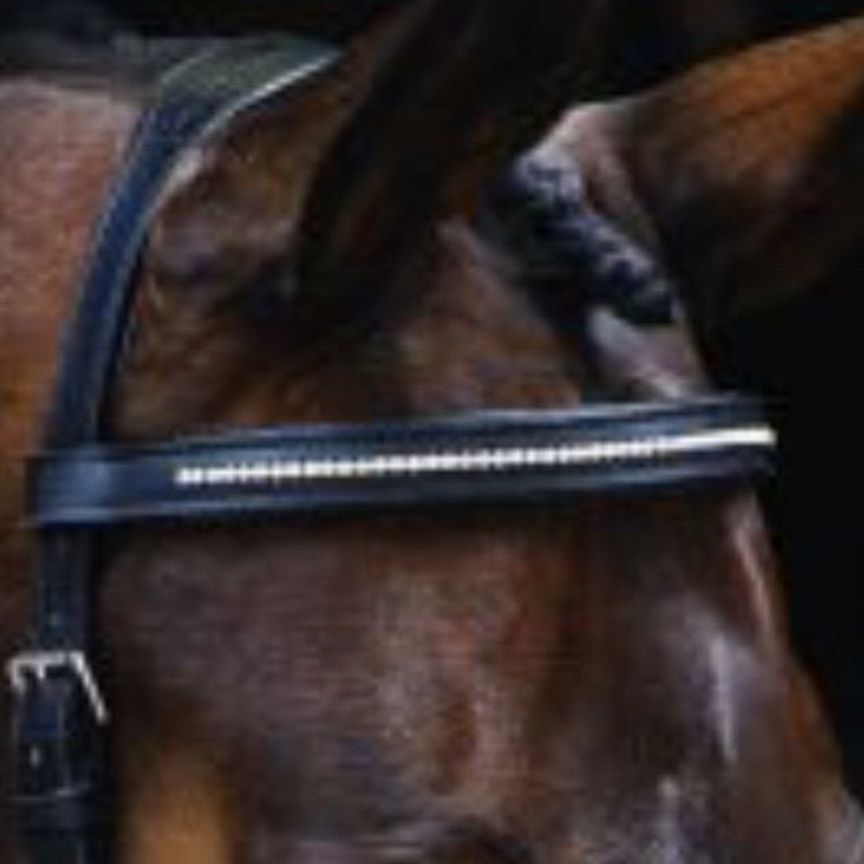 Налобник micklem diamante