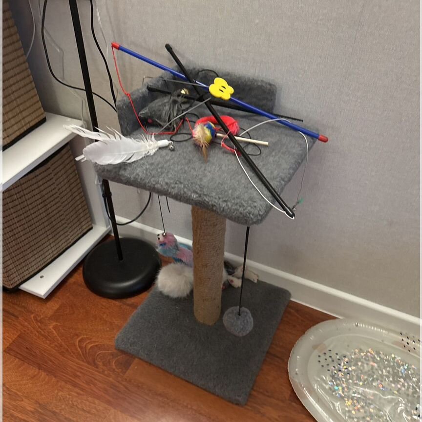 Когтеточка бу