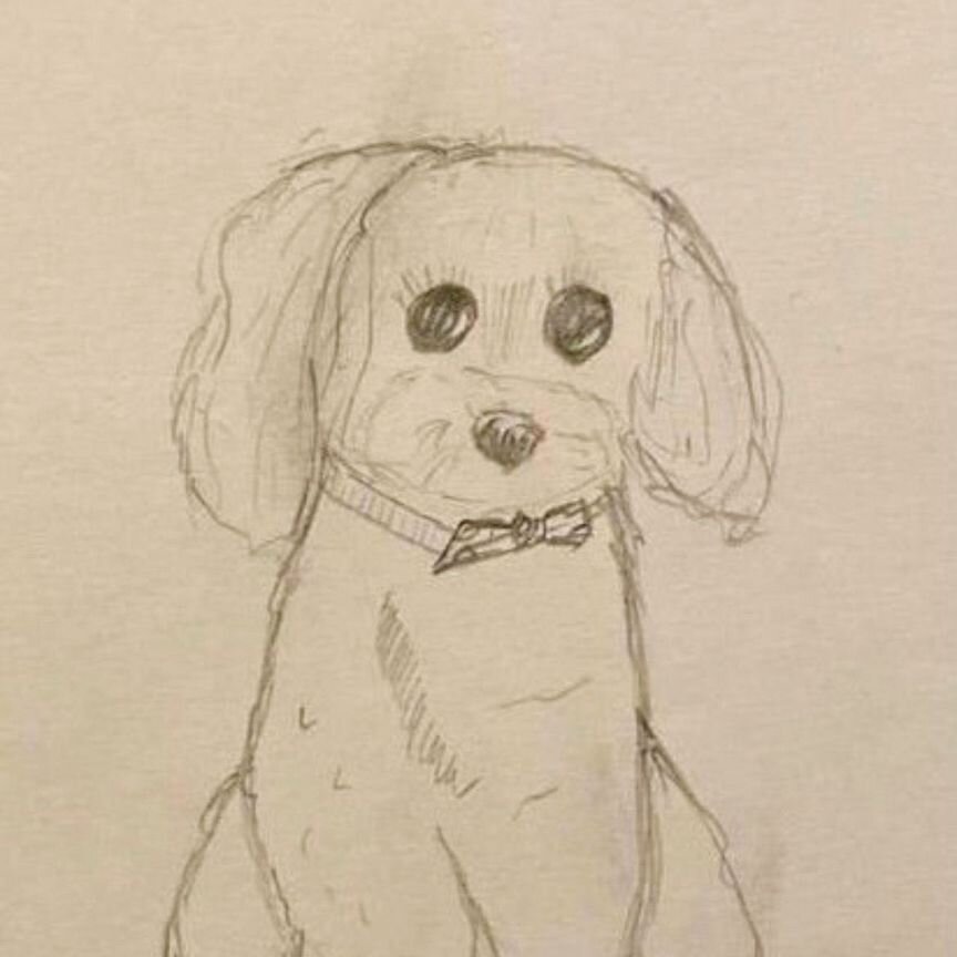 Рисую ваших питомцев