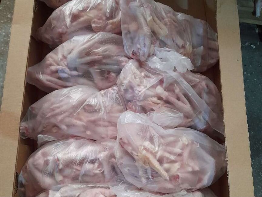 Корм для собак